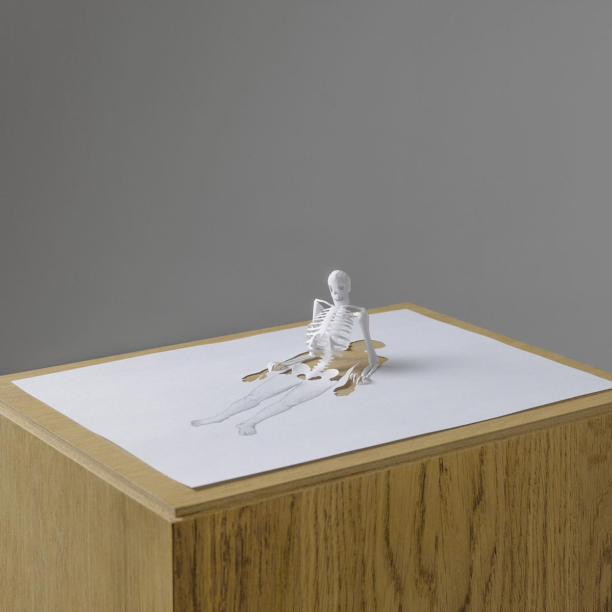 Paper Work By Peter Callesen – THEINSPIRATION.COM
